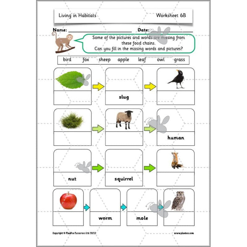 Living Things and Their Habitats Year 2 Resources — PlanBee