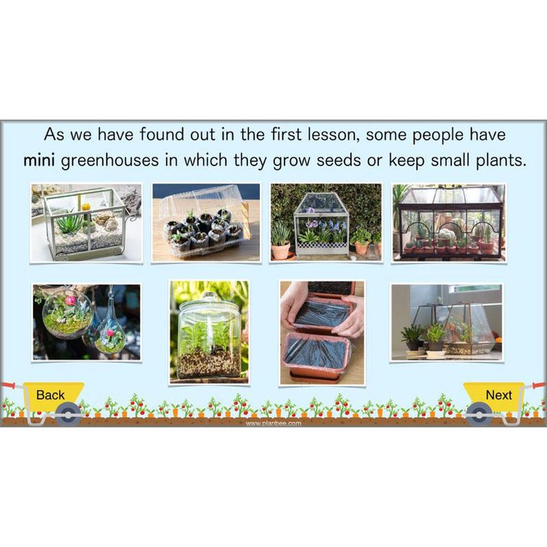 Making Mini Greenhouses: complete DT scheme of work for KS2 — PlanBee