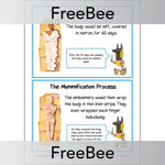 FREE Mummification Process KS2 History Cards by PlanBee
