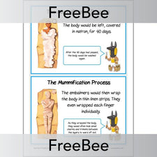 FREE Mummification Process KS2 History Cards by PlanBee