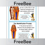 FREE Mummification Process KS2 History Cards by PlanBee