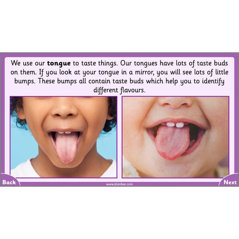 Parts of the Body KS1 Science lessons by PlanBee