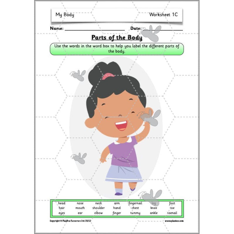 Parts of the Body KS1 Science lessons by PlanBee