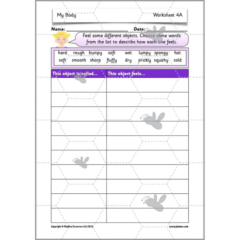 Parts of the Body KS1 Science lessons by PlanBee