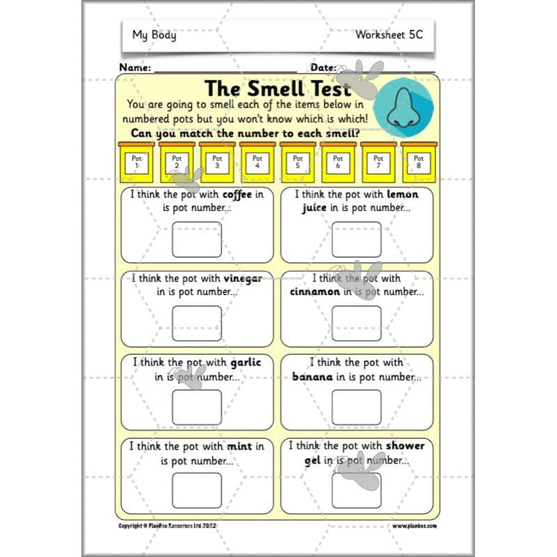 Parts of the Body KS1 Science lessons by PlanBee