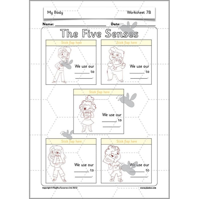 Parts of the Body KS1 Science lessons by PlanBee
