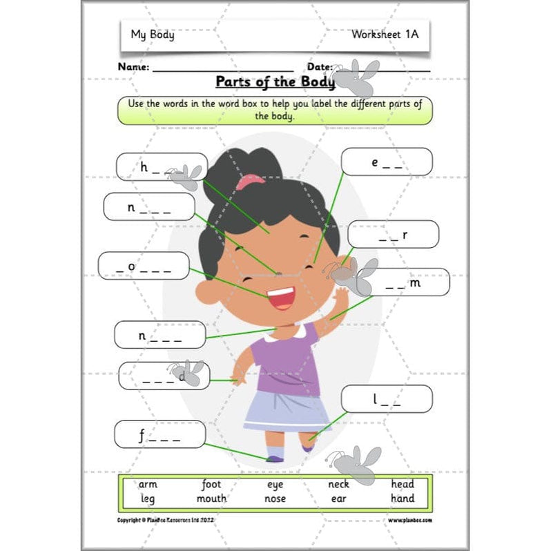 Parts of the Body KS1 Science lessons by PlanBee