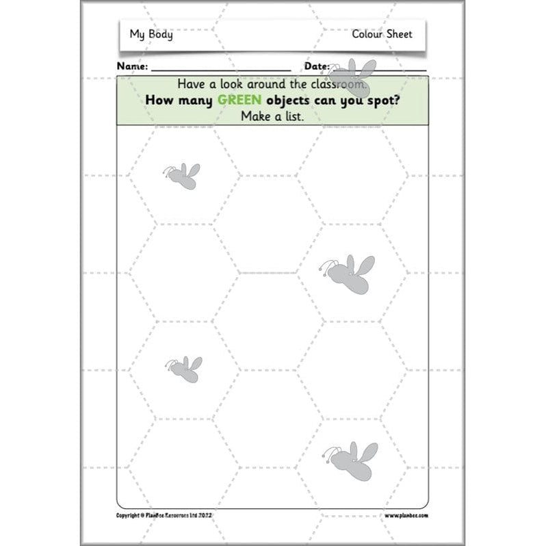 Parts of the Body KS1 Science lessons by PlanBee