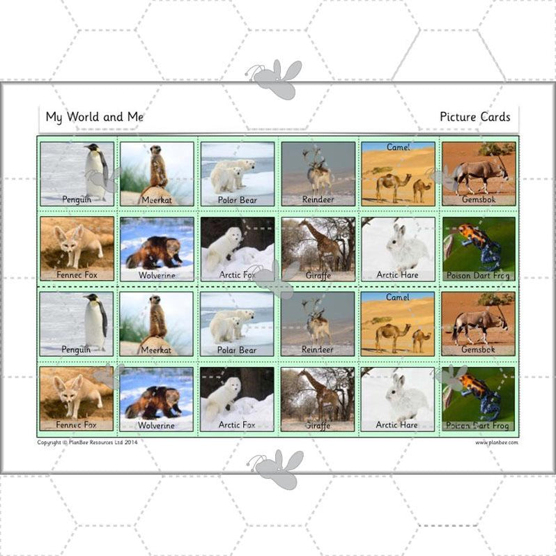 My World and Me Geography Lessons for KS1 by PlanBee
