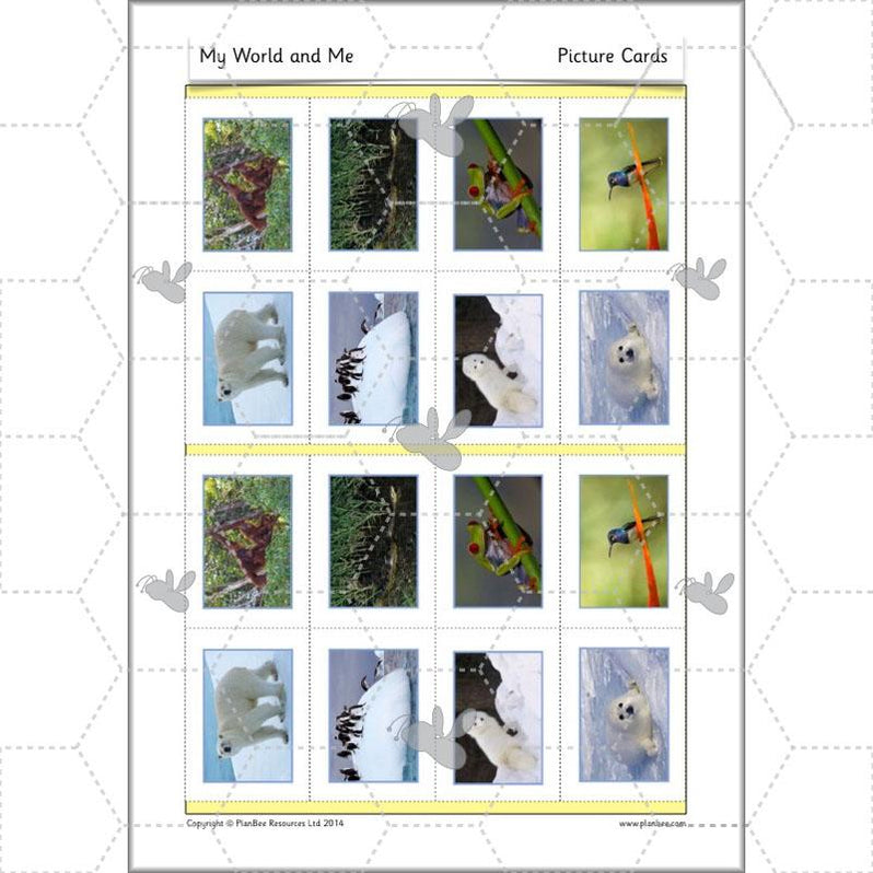 My World and Me Geography Lessons for KS1 by PlanBee