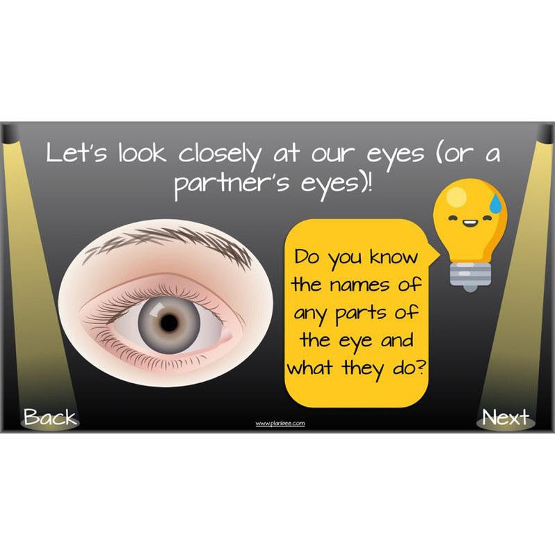 Seeing Light KS2 Planning Pack | Year 6 Science Lessons — PlanBee