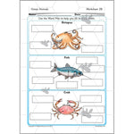 FREE Under the Sea KS1 Ocean Animals lesson pack | PlanBee
