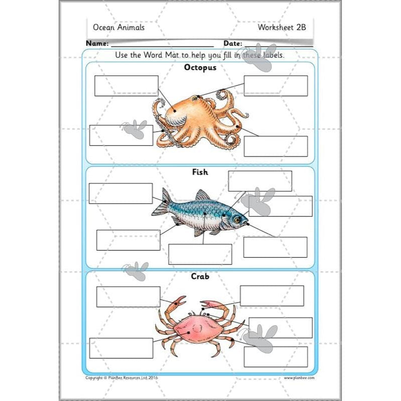 FREE Under the Sea KS1 Ocean Animals lesson pack | PlanBee