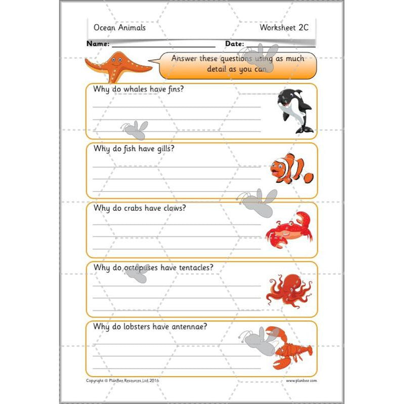 FREE Under the Sea KS1 Ocean Animals lesson pack | PlanBee