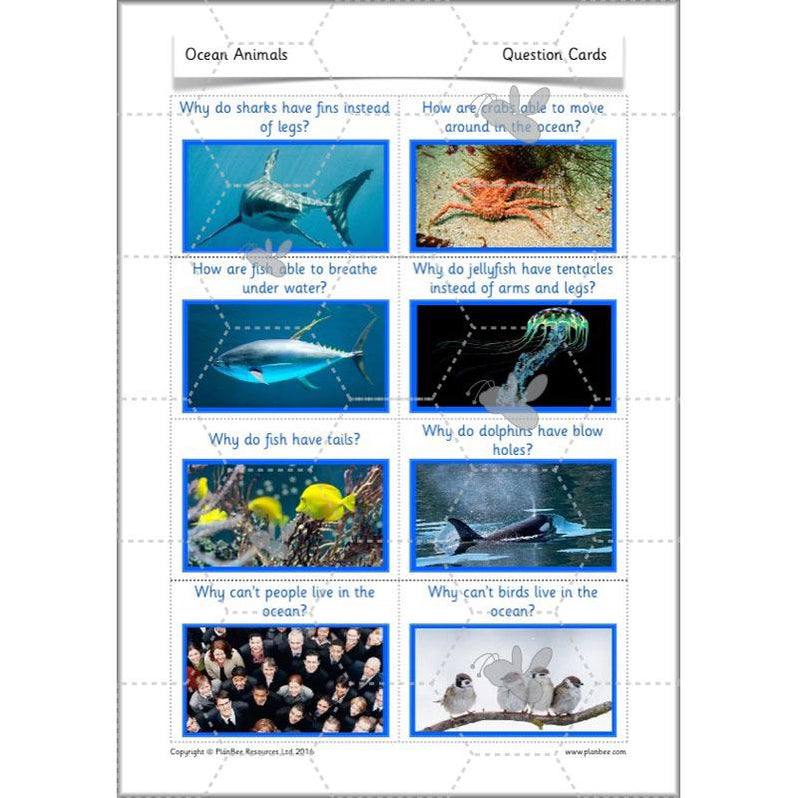 FREE Under the Sea KS1 Ocean Animals lesson pack | PlanBee
