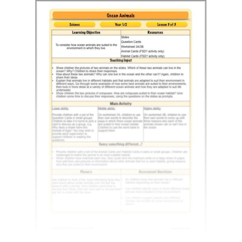 FREE Under the Sea KS1 Ocean Animals lesson pack | PlanBee