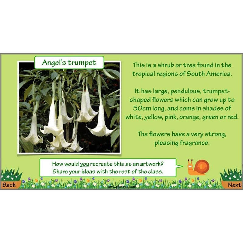 Plant Art Lessons Year 3 & Year 4 PlanBee Art scheme of work