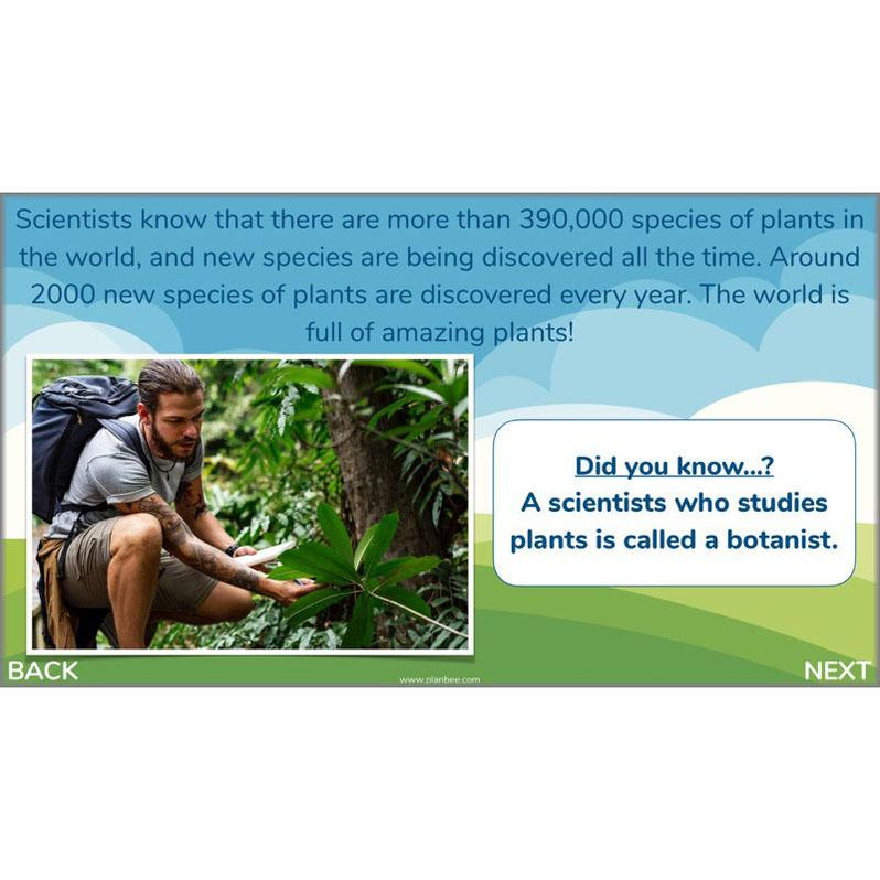 Plants of the World: Plants KS2 Geography lessons by PlanBee