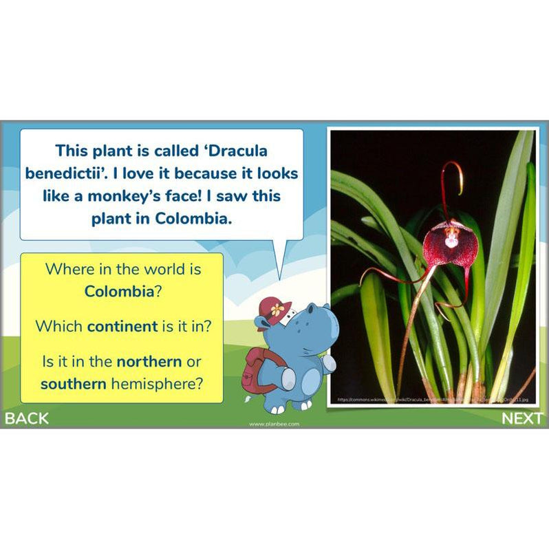 Plants of the World: Plants KS2 Geography lessons by PlanBee