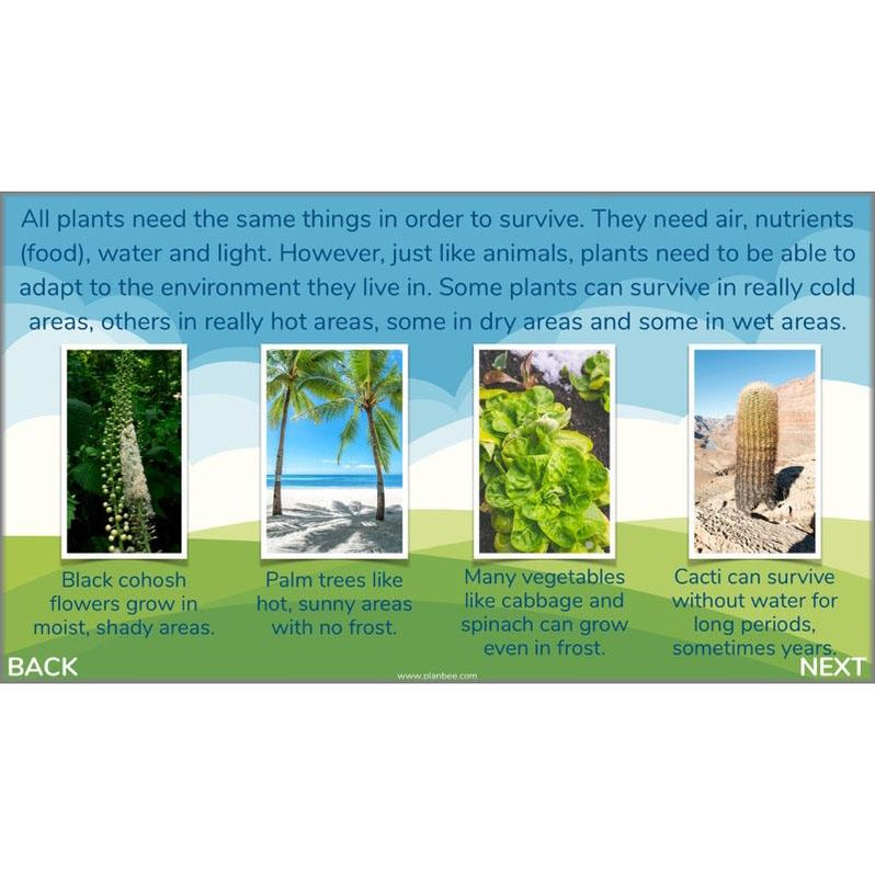 Plants of the World: Plants KS2 Geography lessons by PlanBee