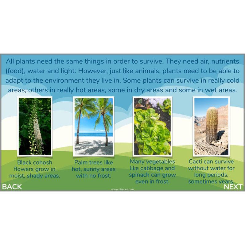 Plants of the World: Plants KS2 Geography lessons by PlanBee