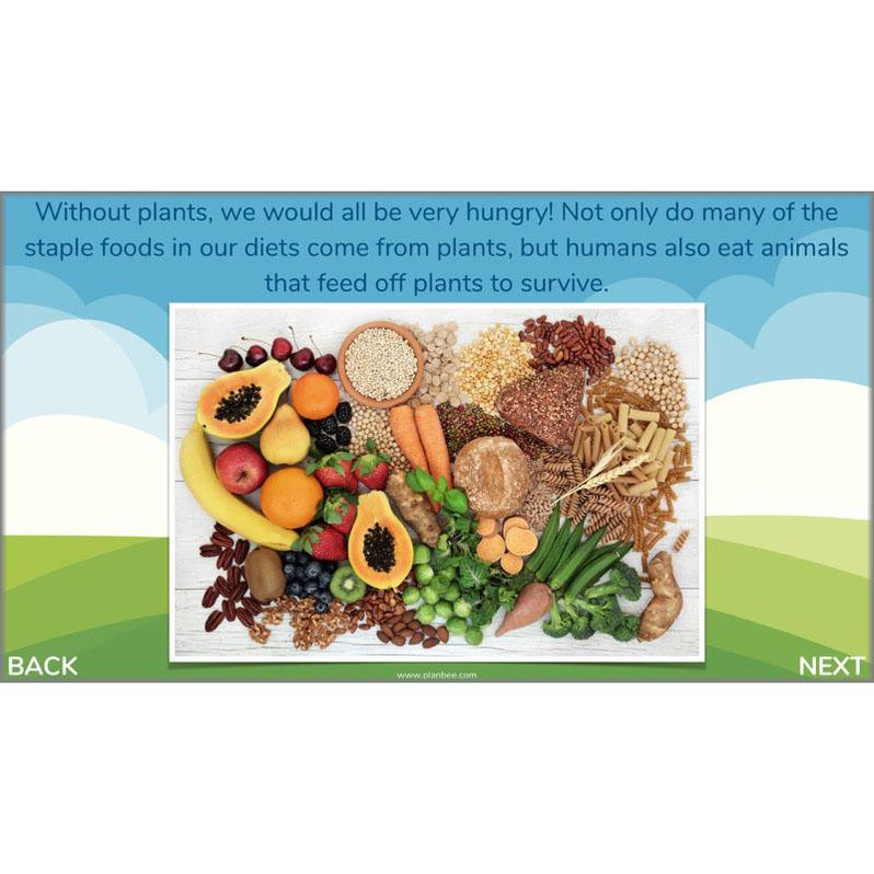 Plants of the World: Plants KS2 Geography lessons by PlanBee