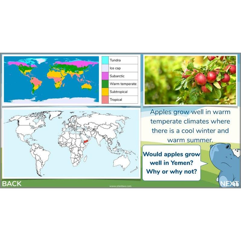 Plants of the World: Plants KS2 Geography lessons by PlanBee