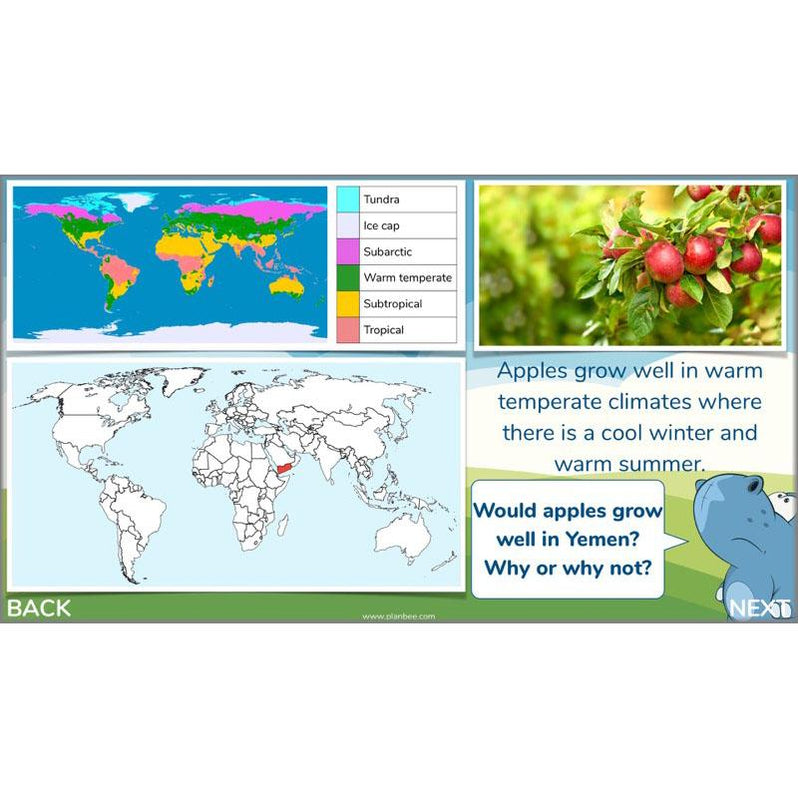 Plants of the World: Plants KS2 Geography lessons by PlanBee