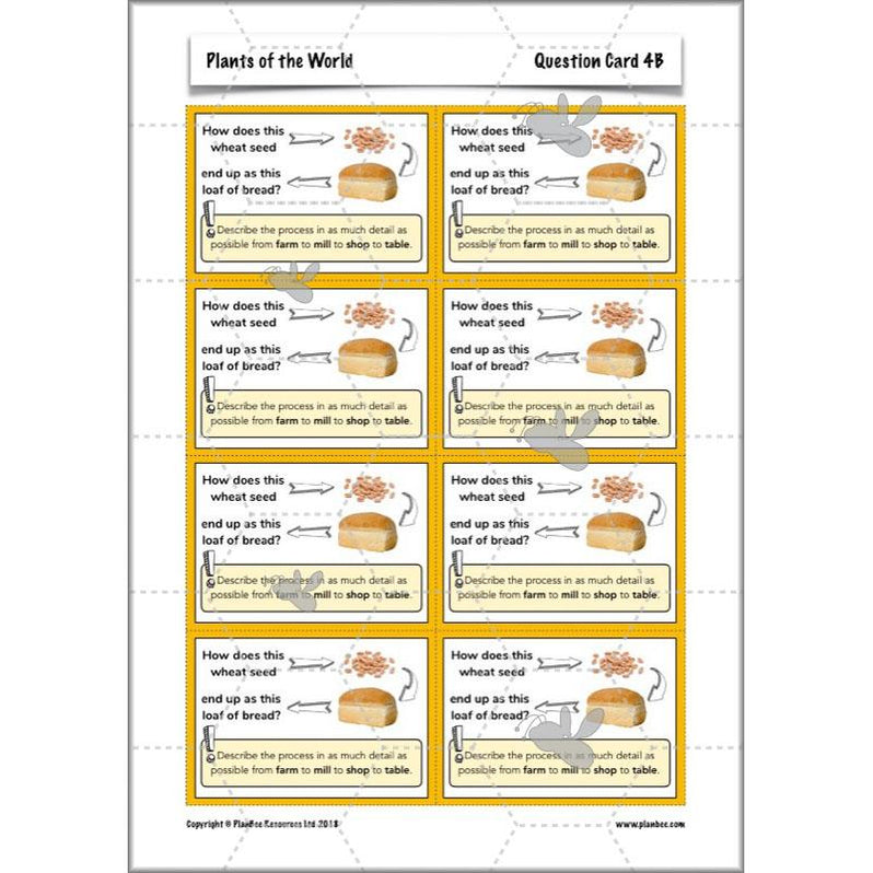 Plants of the World: Plants KS2 Geography lessons by PlanBee