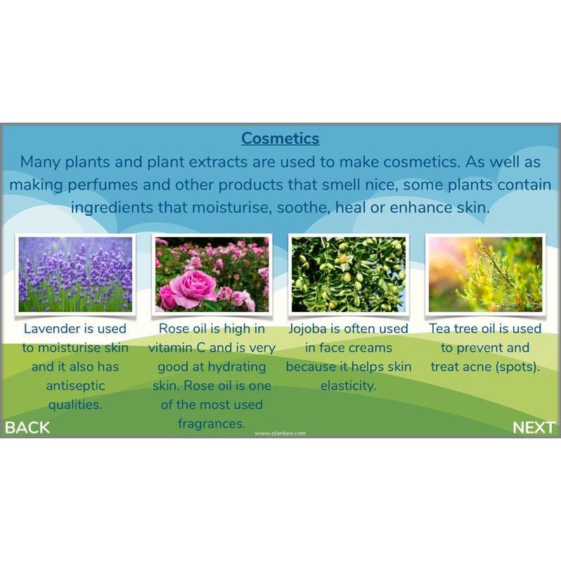 Plants of the World: Plants KS2 Geography lessons by PlanBee