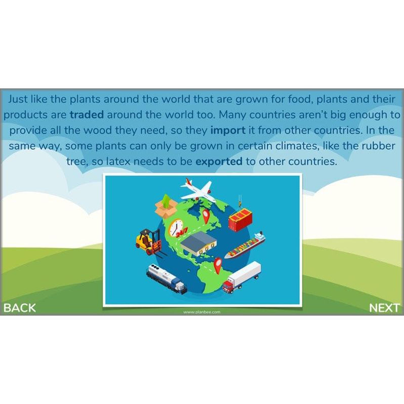 Plants of the World: Plants KS2 Geography lessons by PlanBee