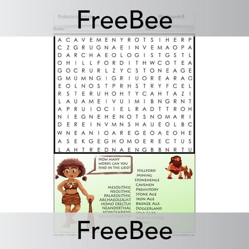 Downloadable Stone Age Teaching Resources by PlanBee