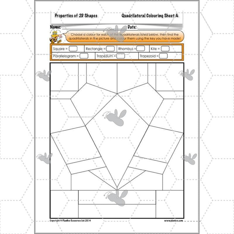 Year 4 Properties of 2D Shapes KS2 Maths by PlanBee