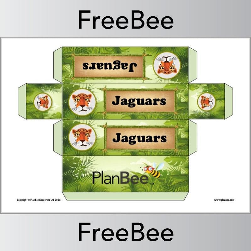 Rainforest Teaching Resources for KS2 and KS1 by PlanBee