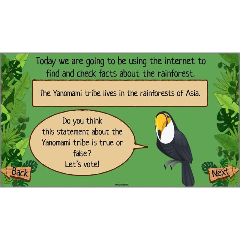 Rainforest Topic KS2 Planning and Resources by PlanBee
