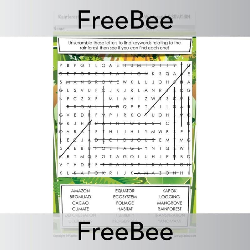 Rainforest Teaching Resources for KS2 and KS1 by PlanBee