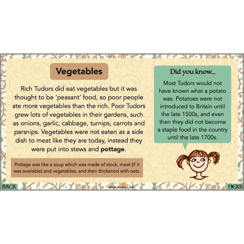 Rich and Poor Tudors | PlanBee Tudor History Lessons for KS2