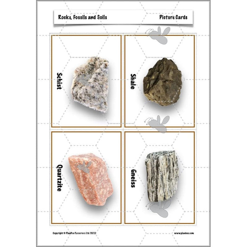 Year 3 Rocks, Fossils and Soils | PlanBee Science Planning
