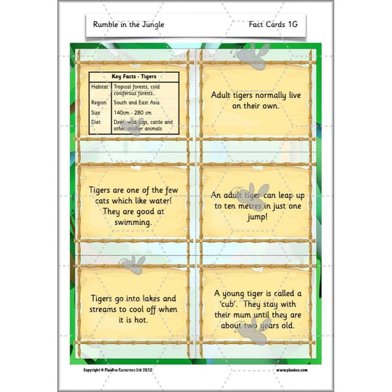 Rumble in the Jungle Year 2 animal poetry lessons by Planbee — PlanBee