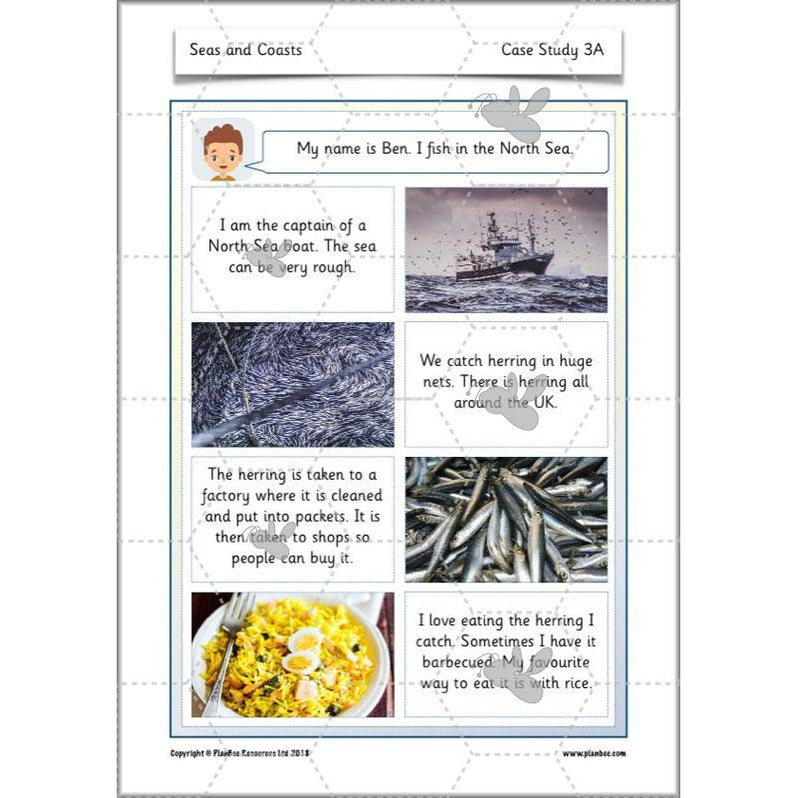 At The Seaside KS1 Geography Lessons by PlanBee