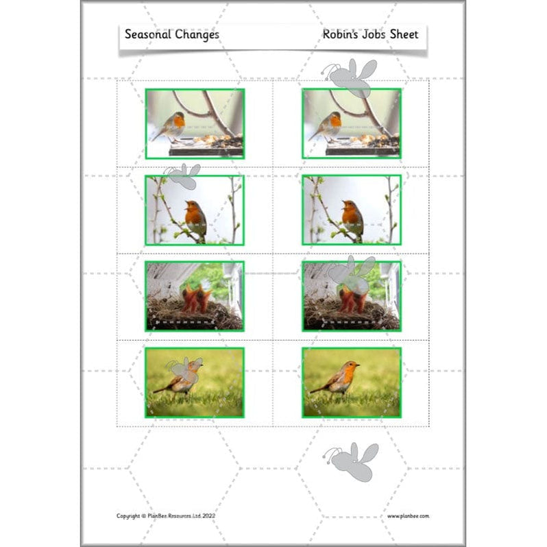 Seasonal Changes Year 1 Resources & Lesson Plans for KS1 — PlanBee