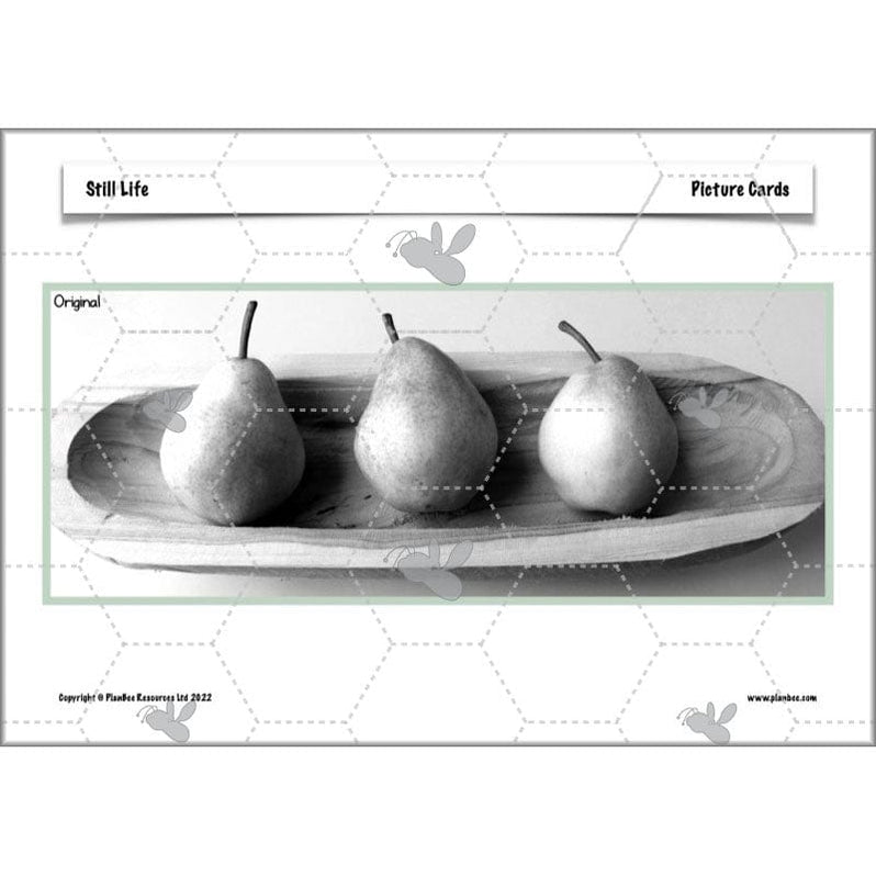 Still Life KS2 Art Downloadable Lesson Pack by PlanBee