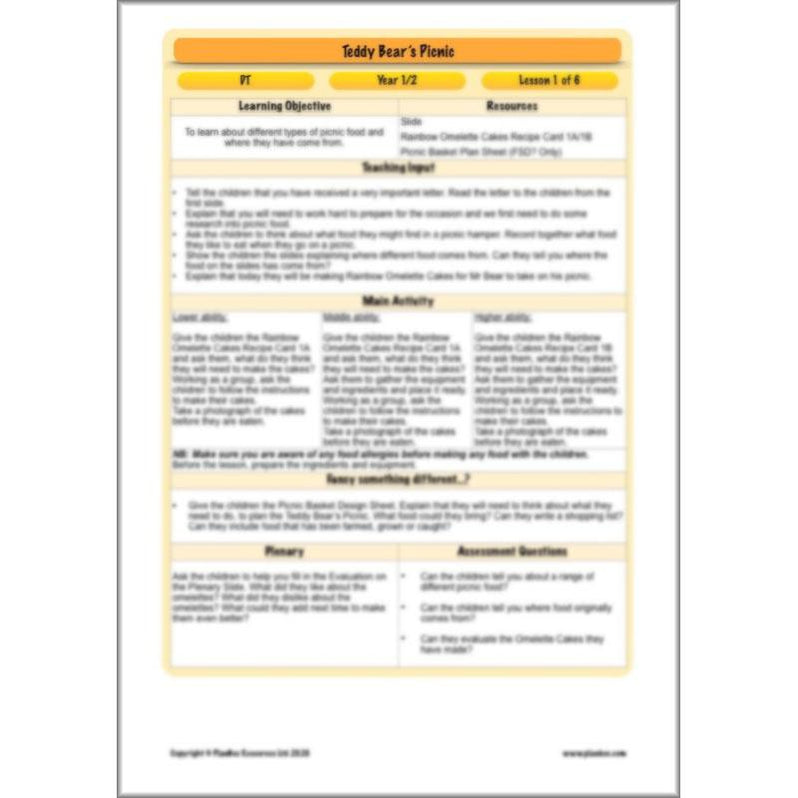 Teddy Bears Picnic Ideas and DT Lessons by PlanBee