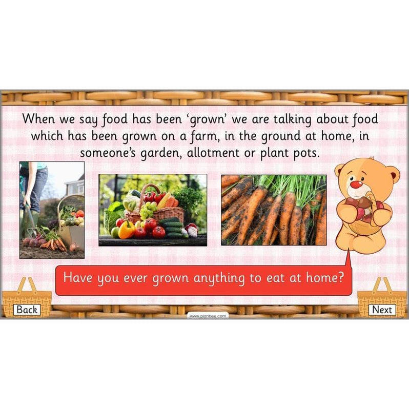 Teddy Bears Picnic Ideas and DT Lessons by PlanBee