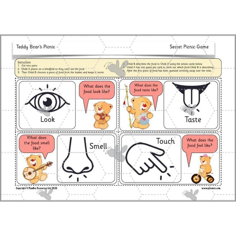 Teddy Bears Picnic Ideas and DT Lessons by PlanBee
