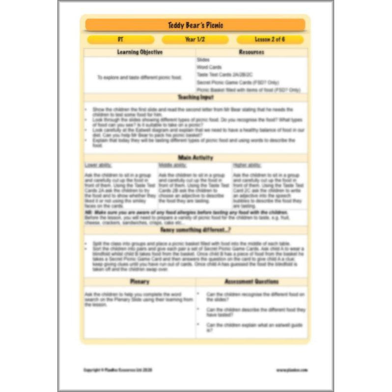 Teddy Bears Picnic Ideas and DT Lessons by PlanBee