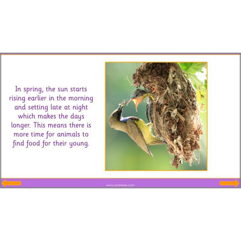 The Four Seasons KS1 Lesson Plans & Worksheets by PlanBee