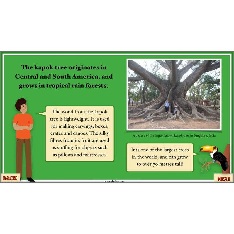 The Great Kapok Tree Planning Persuasive Writing by PlanBee