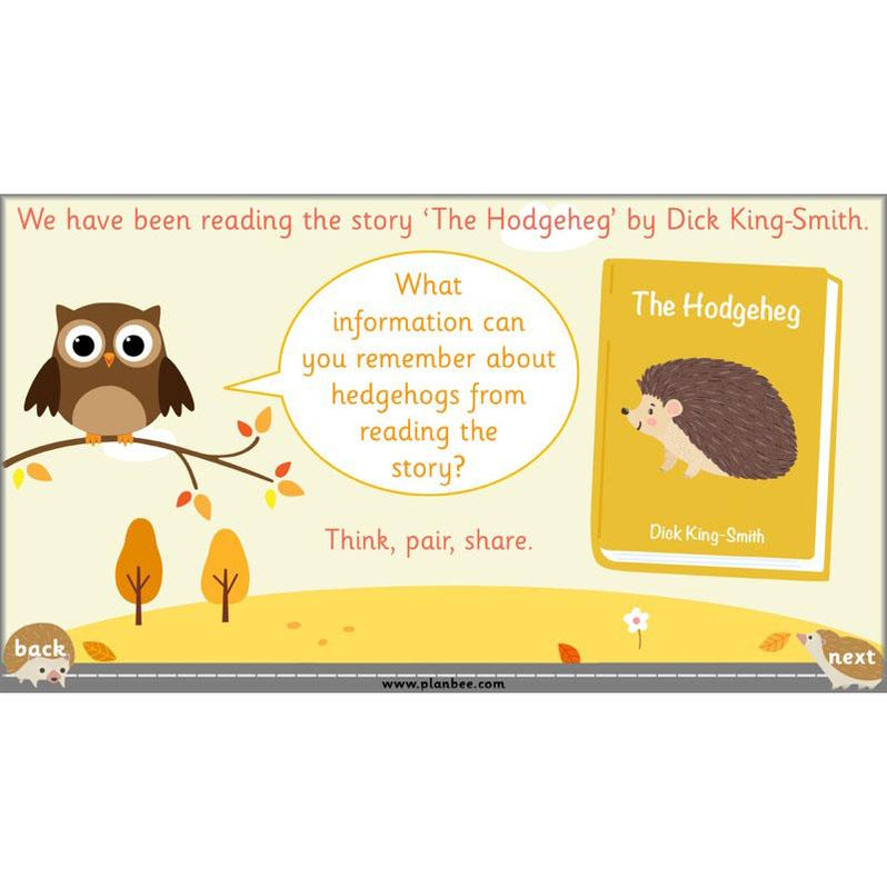 The Hodgeheg Activities Non-Chronological Reports Year 2 — PlanBee