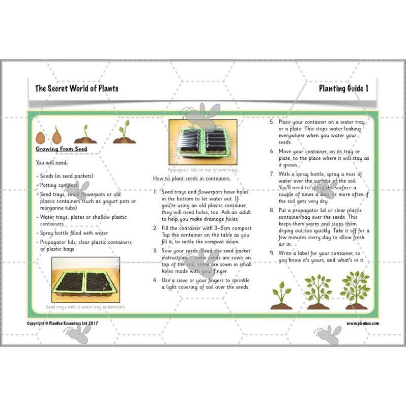 Secret World of Plants - KS1 Science Scheme of Work: Year 2 — PlanBee